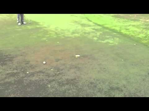 Keith STIMPSON is the greatest- TAG TOUR - YouTube