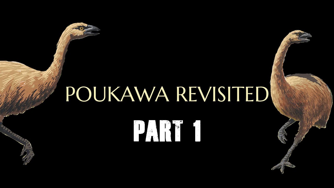 Poukawa Revisited part 1 -Poukawa Archaeological Site, Proving Ancient ...
