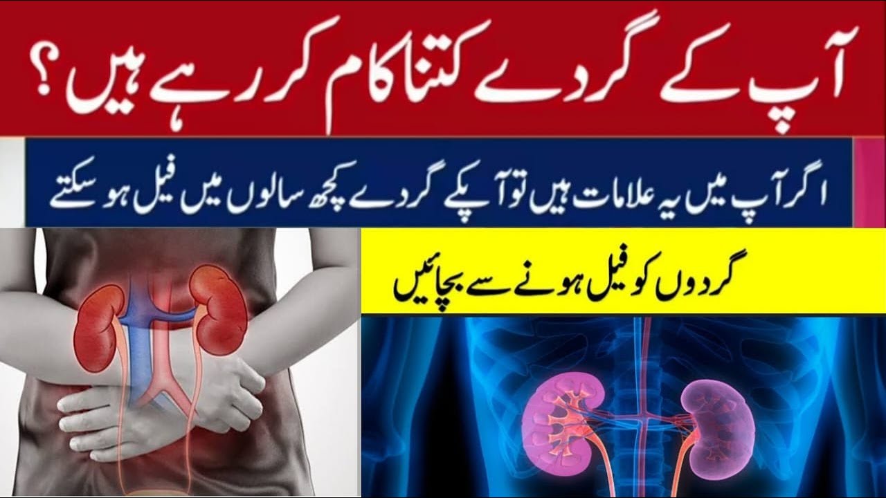 Kidney Failure,sign& symptoms,treatment #kidney #kidneydisease # ...