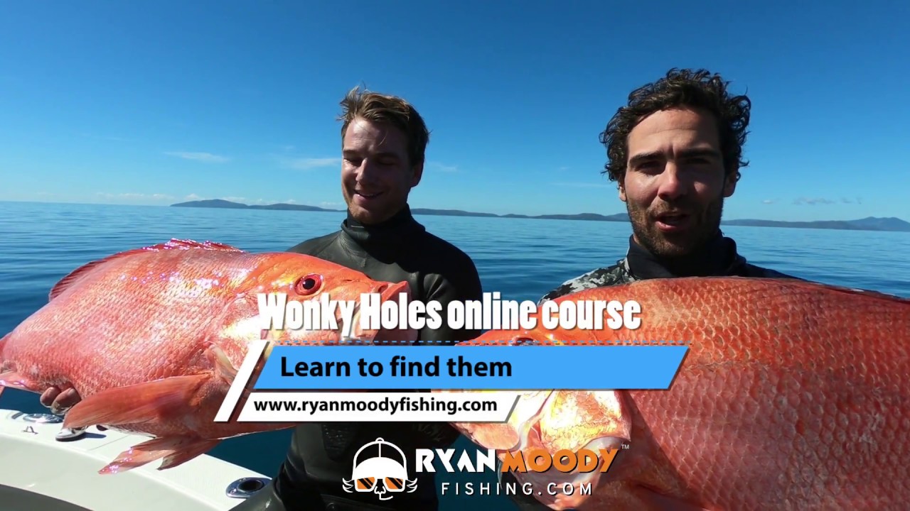 Spearfishing Wonky Holes in Queensland Australia - YouTube