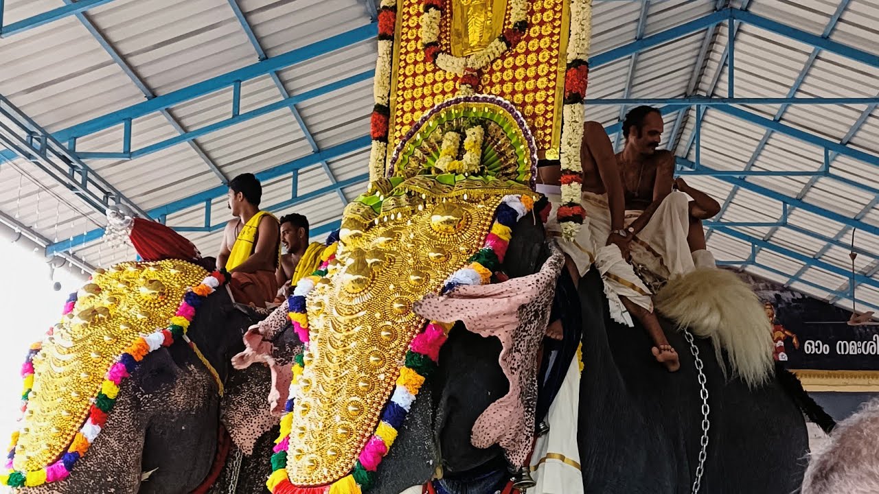 Pallavur Valia Arattu 2023 - YouTube