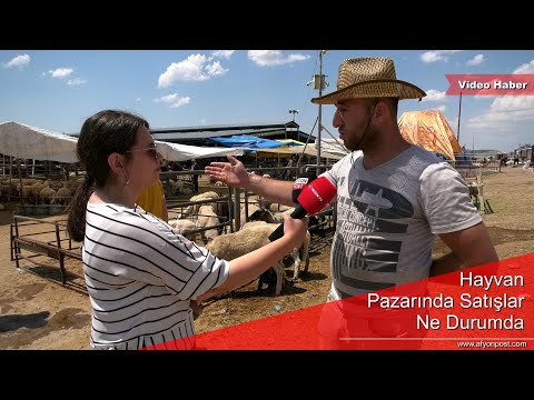 Hayvan Pazarında Satışlar Ne Durumda
