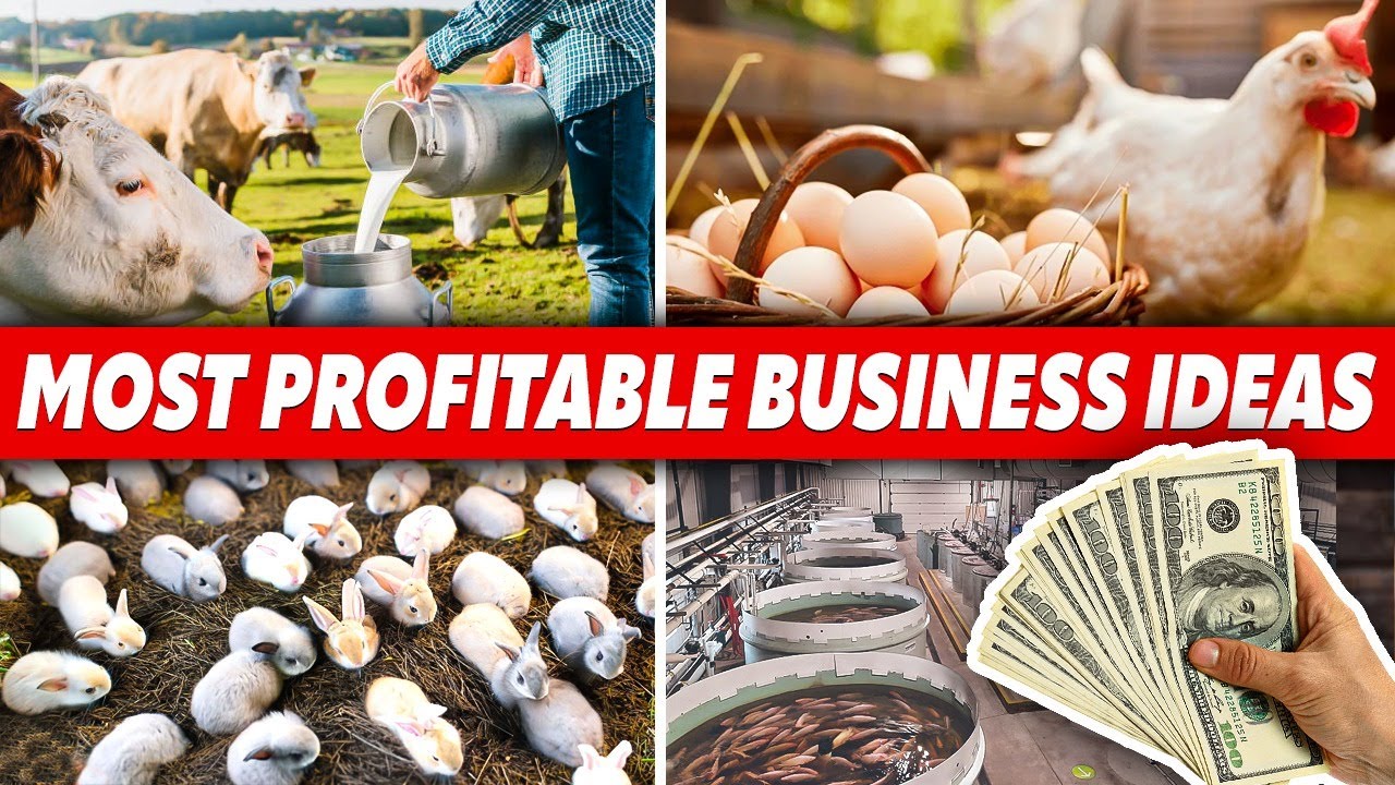 How to Invest in Animal-Related Businesses - YouTube