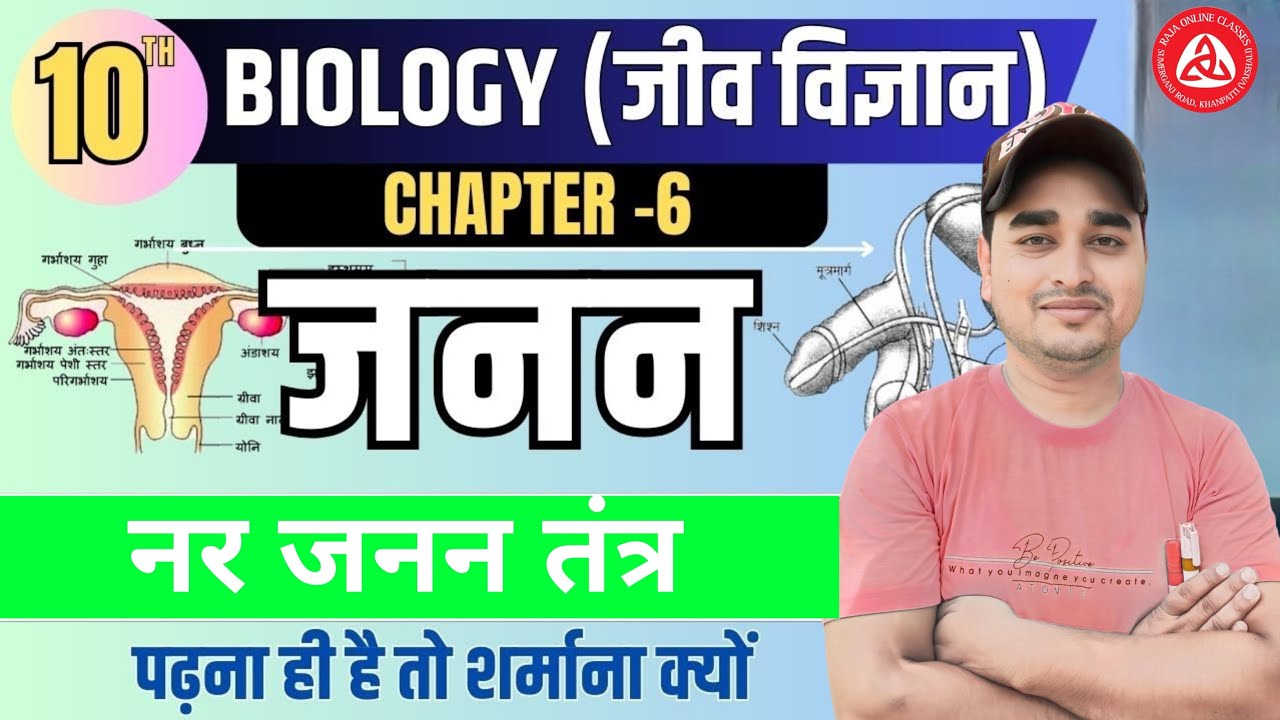नर जनन तंत्र | Male Reproductive System | nar janan tantra | nar janan ...