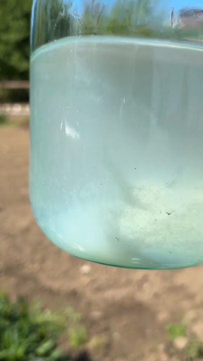 НЕ ВСЯКАЯ ВОДИЦА ДЛЯ ВОДОРАСТВОРИМЫХ УДОБРЕНИЙ ГОДИТСЯ! #дача #сад # ...