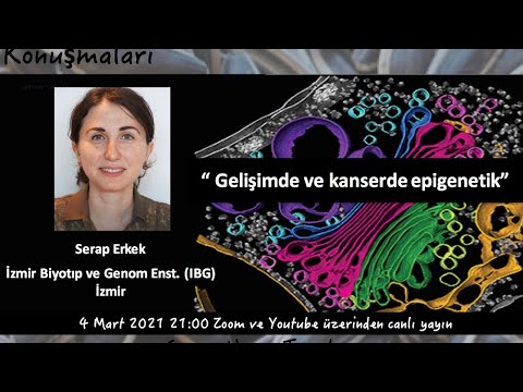 Çekirdek Konuşmaları Serap Erkek Özhan