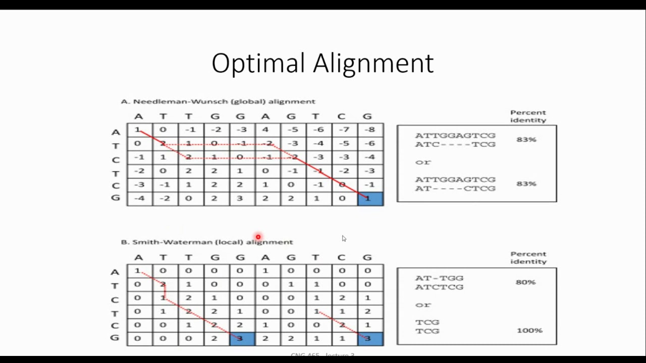 Global Vs. Local Sequence Alignment - YouTube