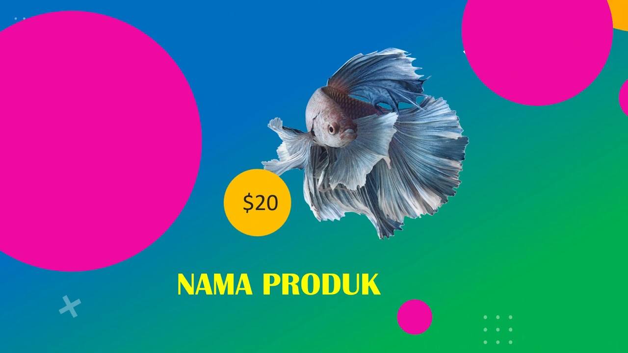 VIDEO PROMOSI, IKAN CUPANG, IKAN HIAS, TOKO AQUARIUM, AQUASCAPE, IKAN ...