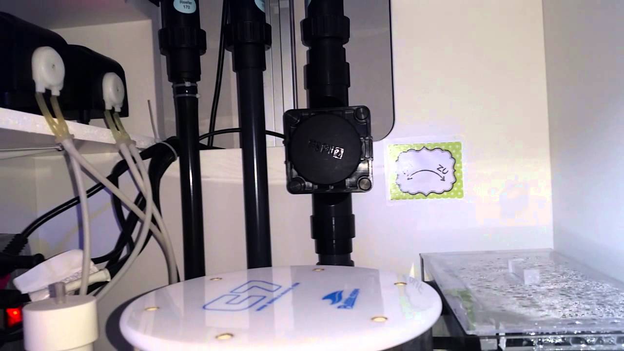 Red sea reefer 170 (Ablaufprobleme) - YouTube