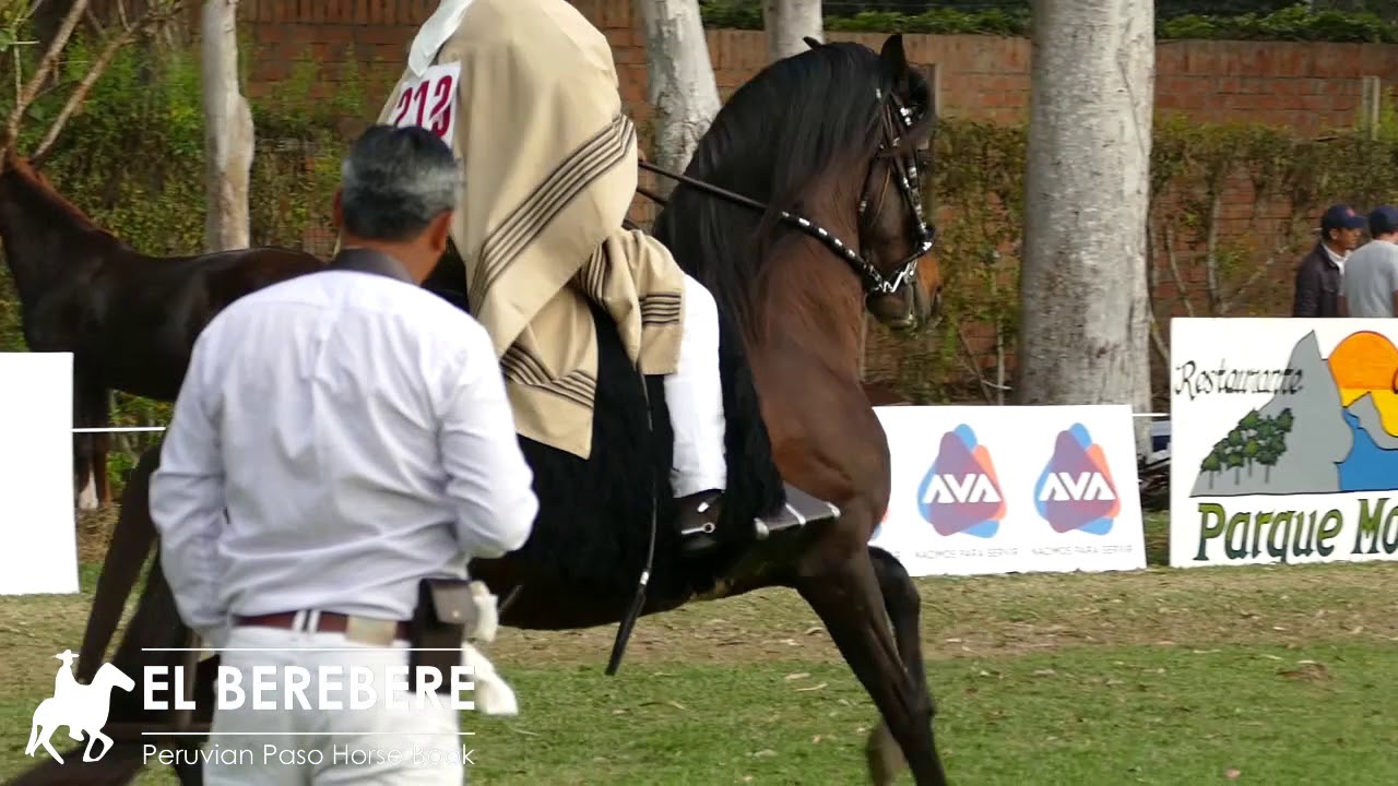 CCC - Pacasmayo - YouTube