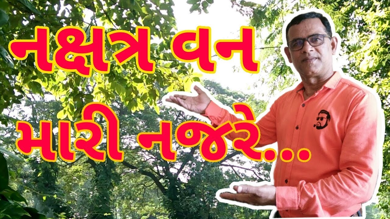 Nakshatra Van | Nakshatra Garden | Silvassa | નક્ષત્ર વન | Yuyu Goli ...