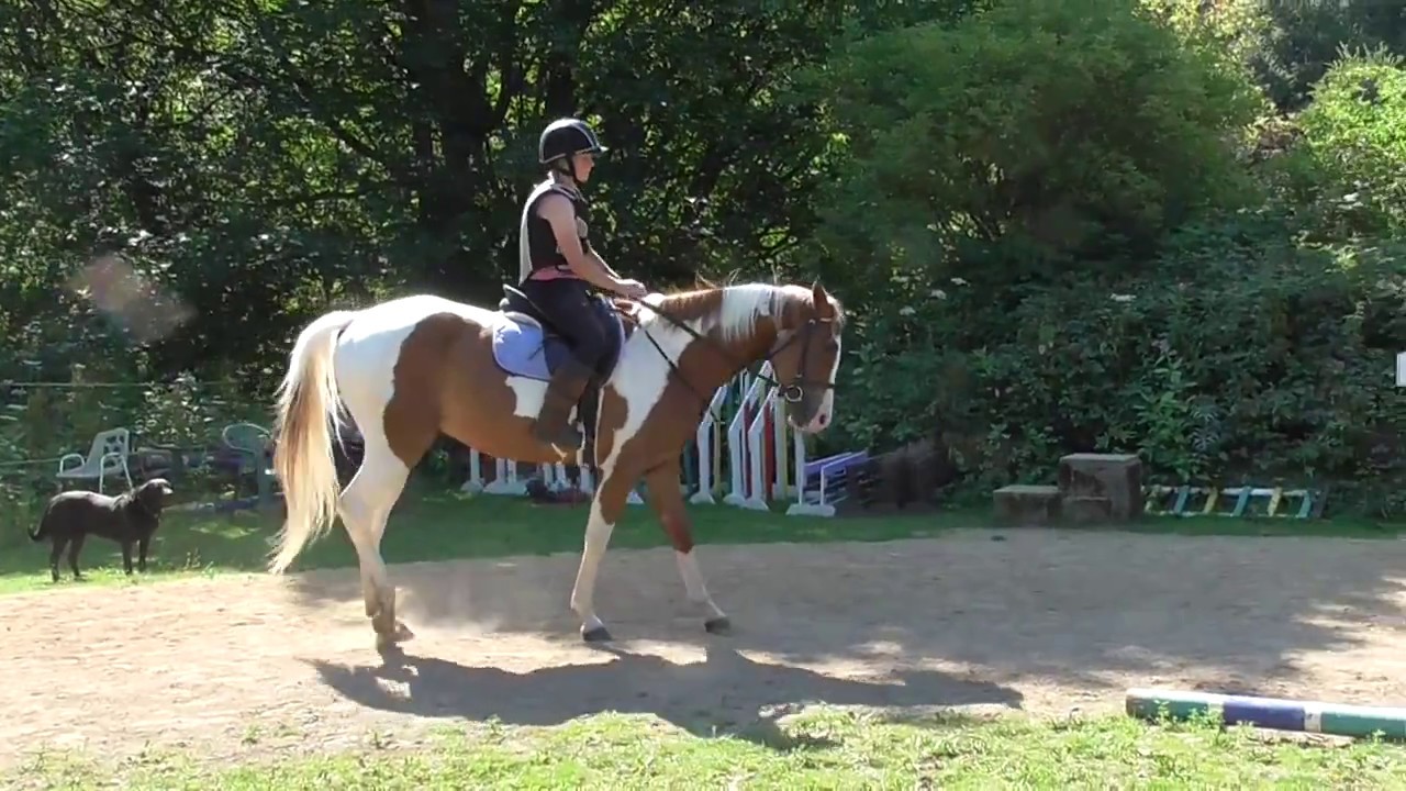 Apache walk, trot, canter - YouTube