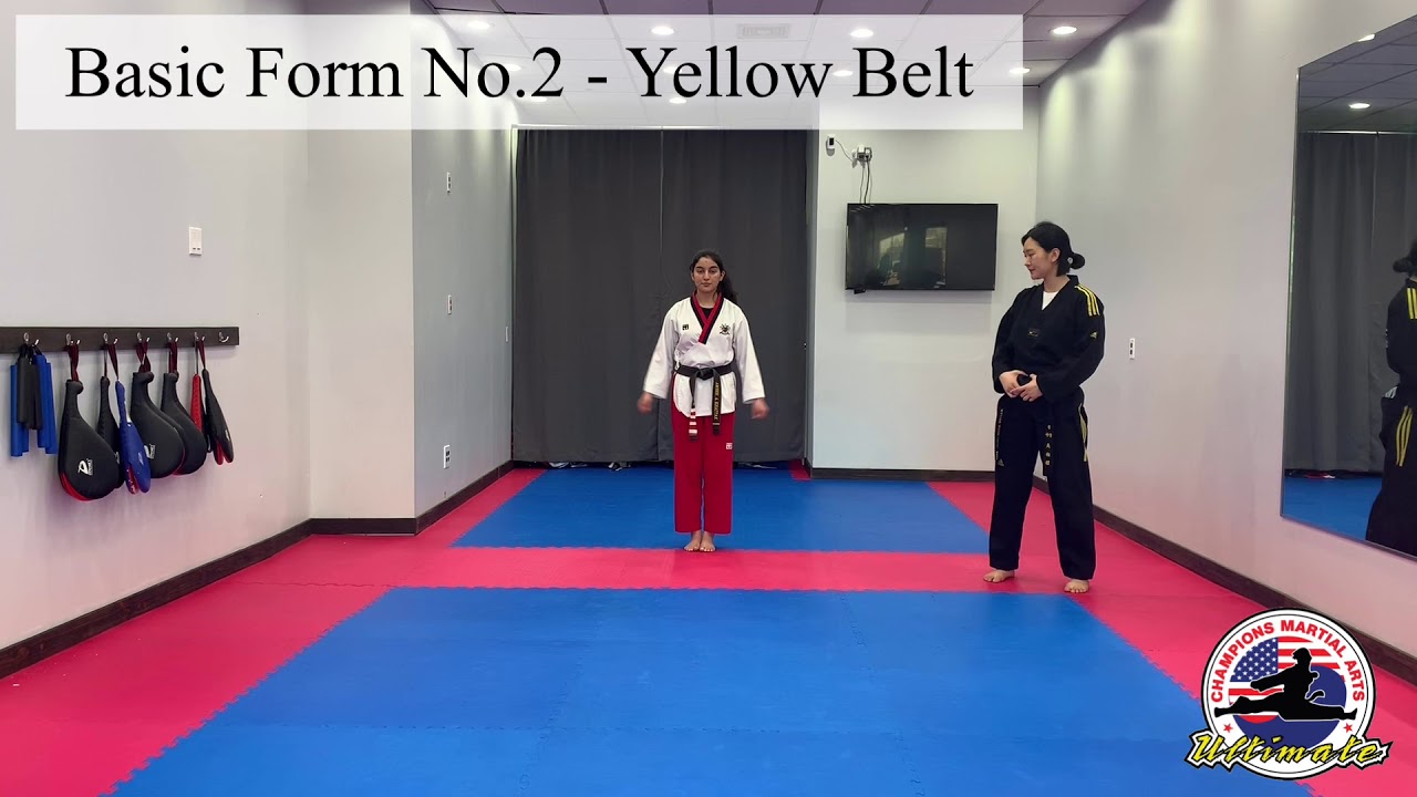 Basic Form No.2 - Yellow Belt - YouTube