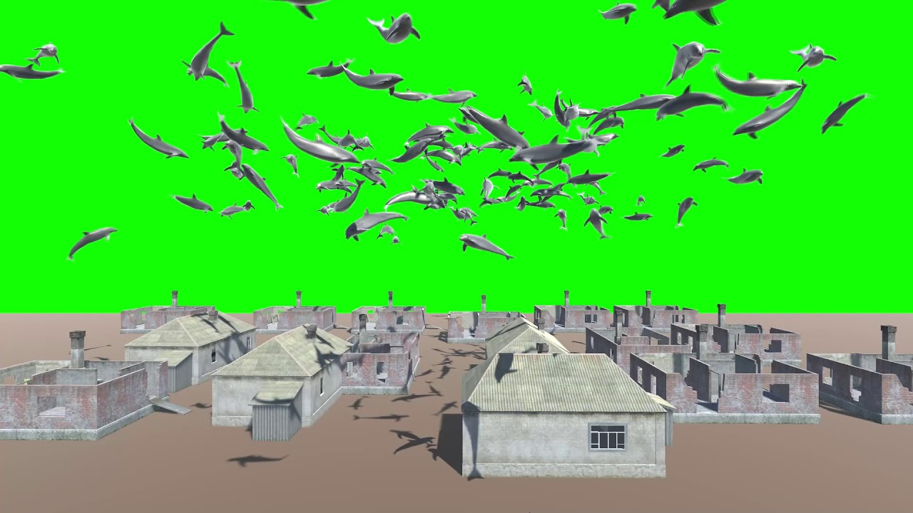 Dolphins Swim Over Drowned Town Green Screen Animation - YouTube