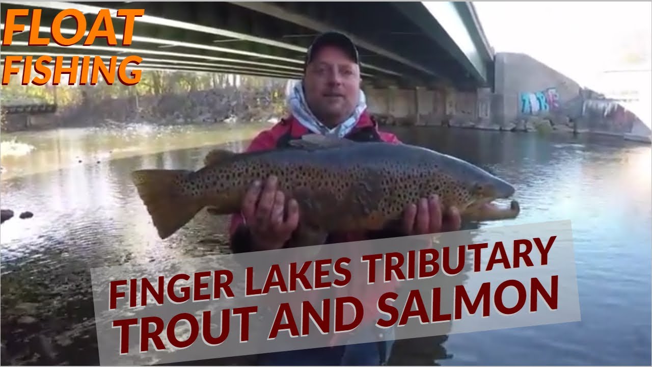 Finger lakes tributary float fishing for landlocked salmon, brown trout ...