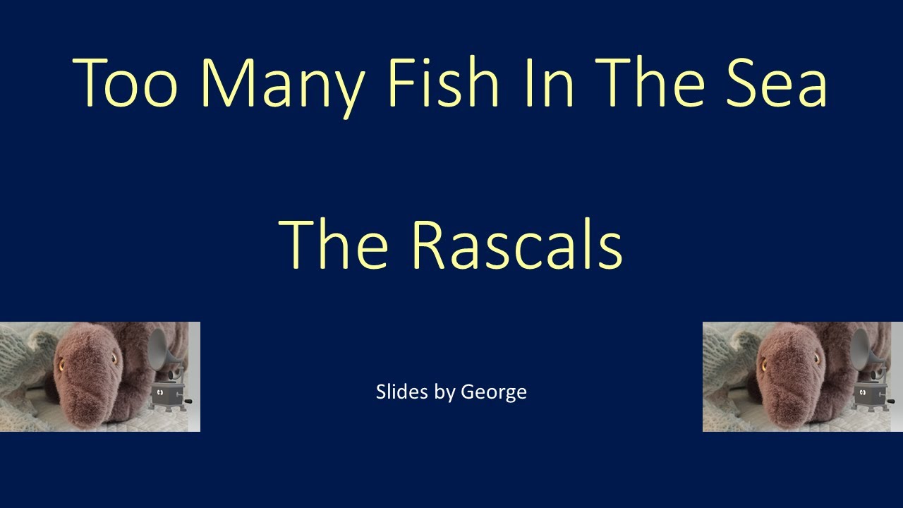 The Rascals Too Many Fish In The Sea karaoke - YouTube