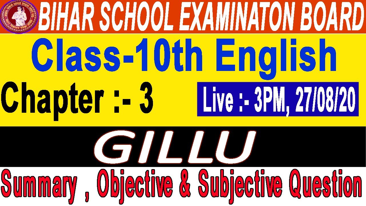 Chapter 3 Gillu Class 10th English Summary Important Objective Chapter 3 Gillu Class 10th English Summary Important Objective
