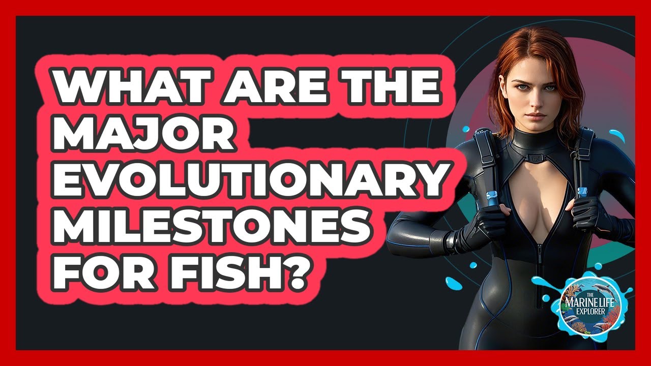 What Are The Major Evolutionary Milestones For Fish? - The Marine Life ...