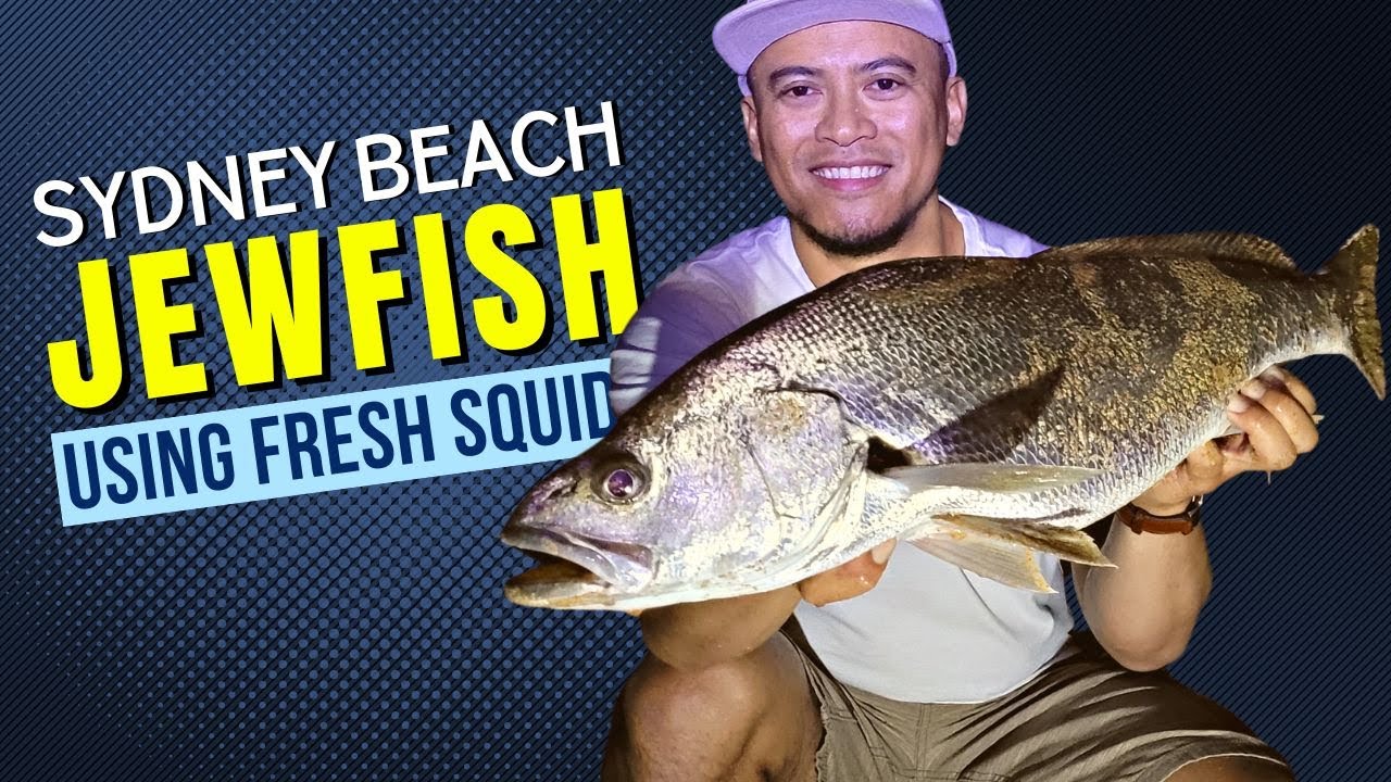 Sydney Beach Jewfish [Using Fresh Squid] - YouTube