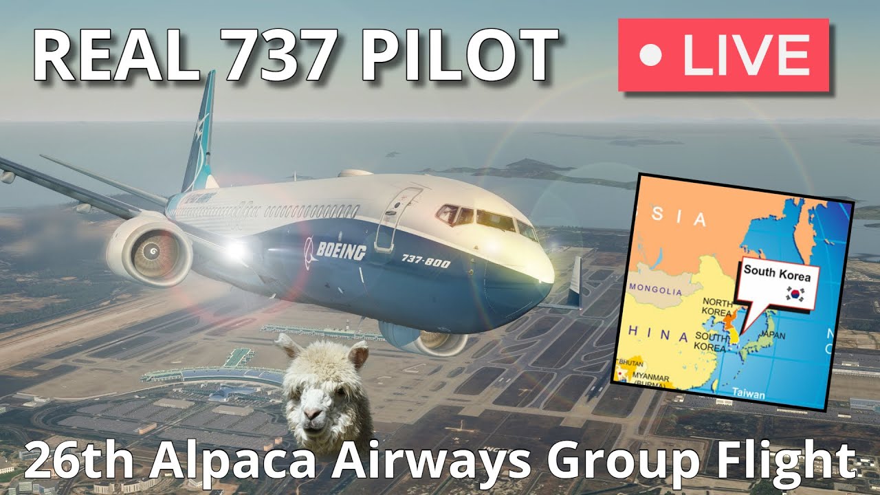 Real 737 Pilot LIVE | Alpaca Airways Group Flight #26 | Seoul Incheon ...