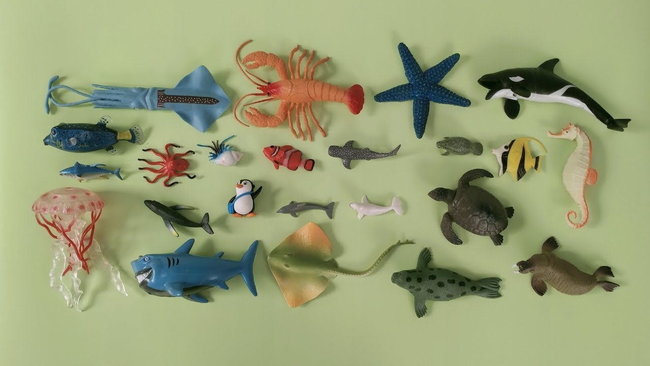 Sea Animals Name, Orca, Manatee, Jellyfish, Stingray, Blue Boxfish ...