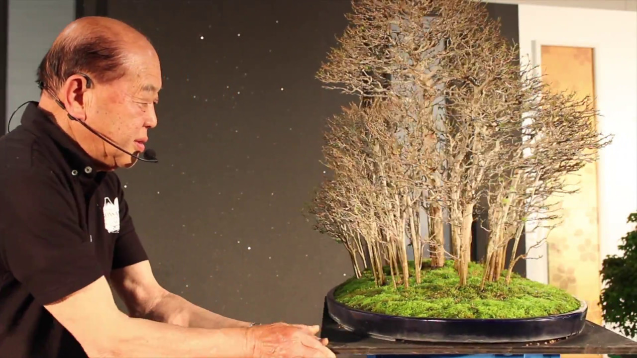 Bonsai demo by Mr. Hiroshi Takeyama at the WBC - YouTube