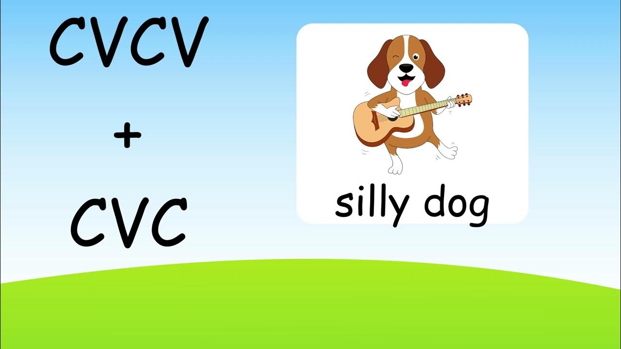 CVCV + CVC Videos /Apraxia Therapy / Speech Therapy / Syllable Shapes ...
