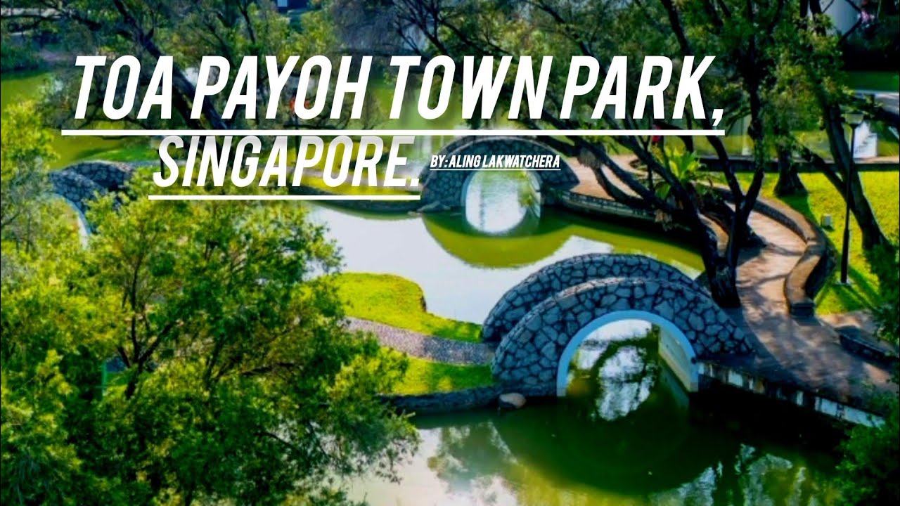 Part 3: Toa payoh town park,Singapore /@Alinglakwatchera - YouTube