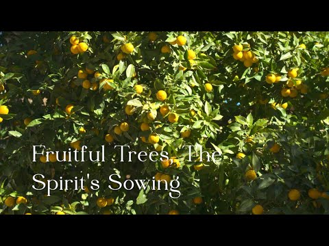 414 SDA Hymnal - Fruitful Trees, The Spirit's Sowing (Singing w/ Lyrics ...