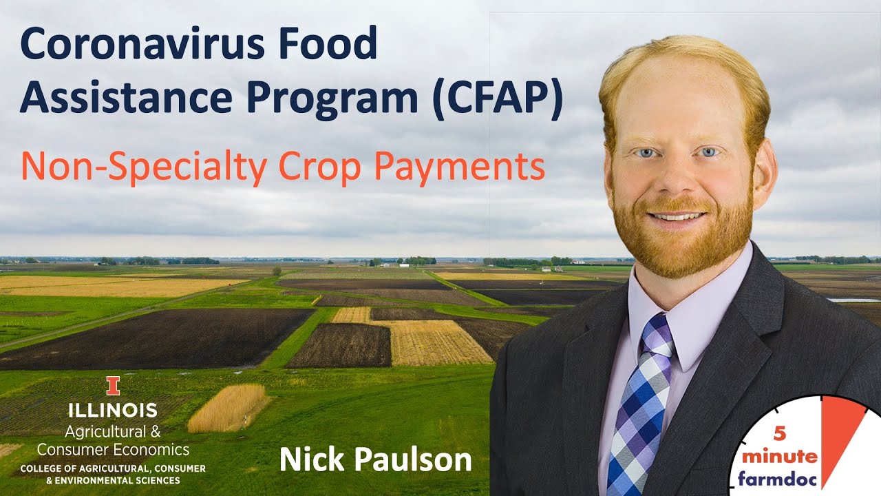 Coronavirus Food Assistance Program (CFAP) - YouTube