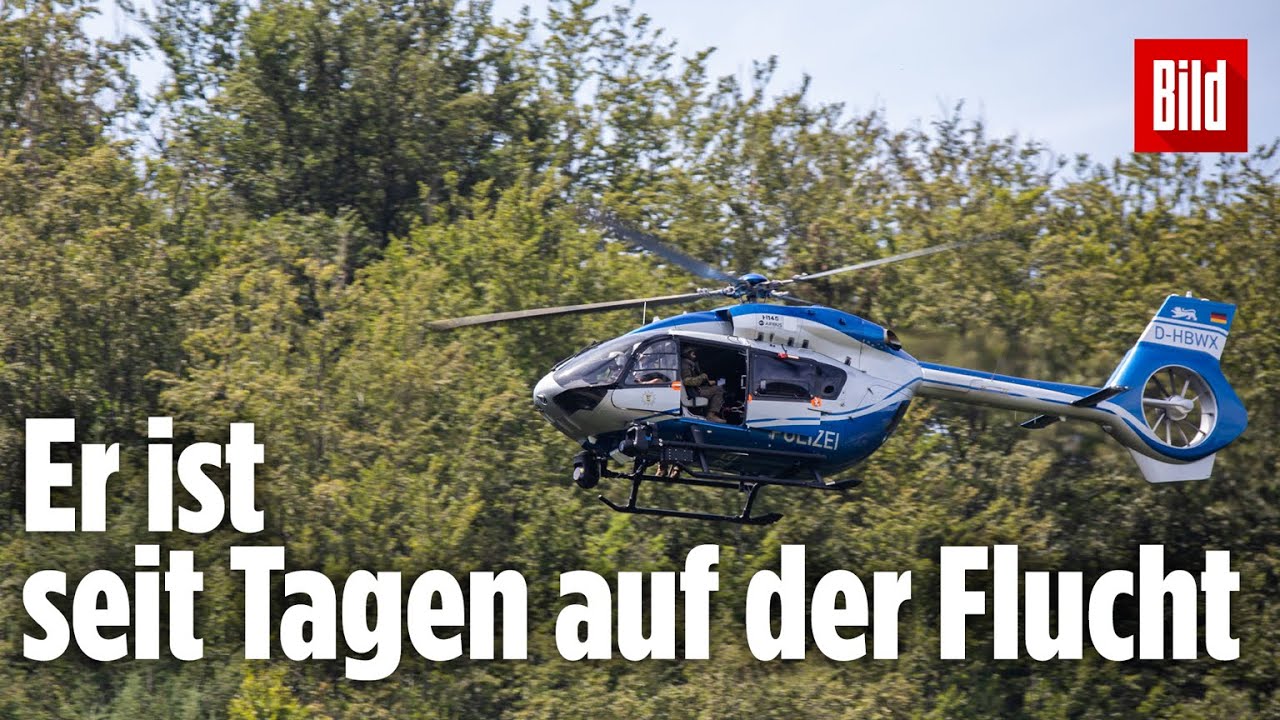 Ein Förster erklärt, wie lange Wald-Rambo Yves Rausch sich noch im Wald ...