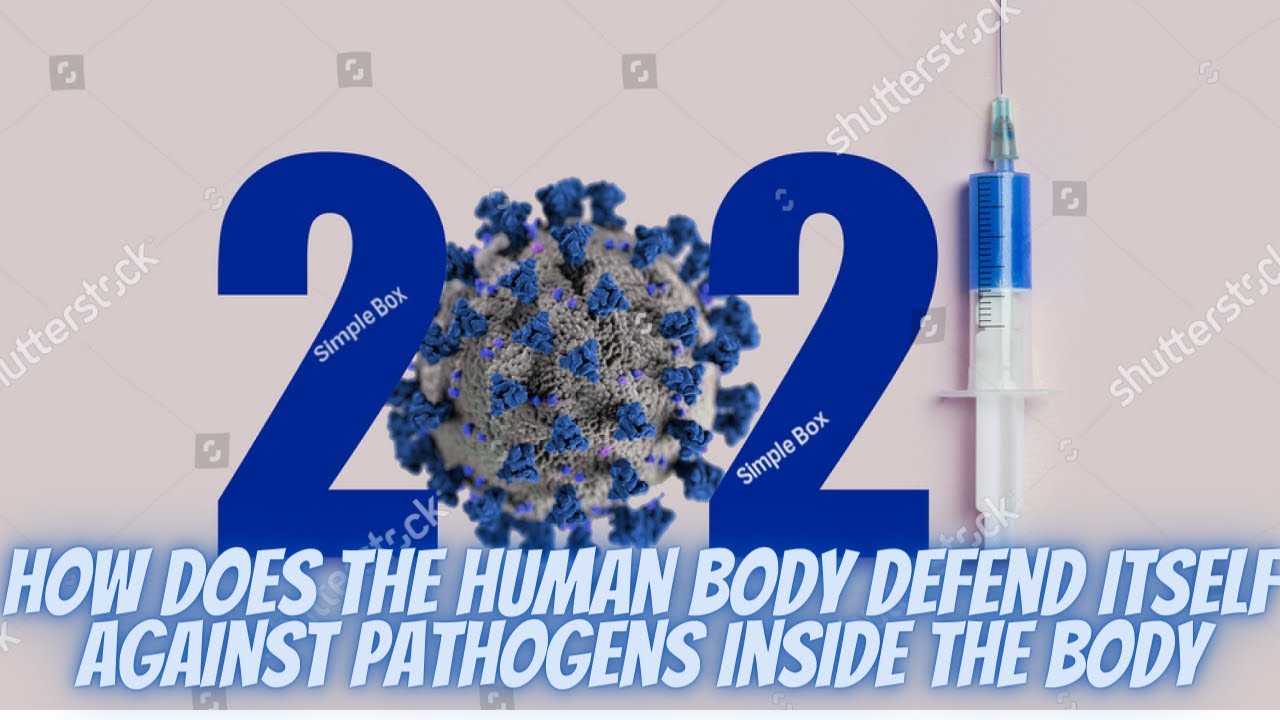 humans defense system against pathogens.|1st and 2nd of defense|. - YouTube