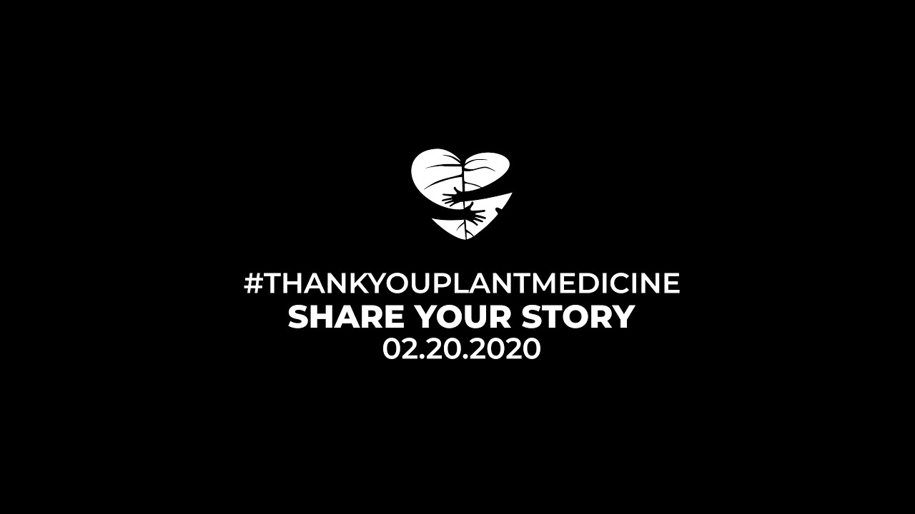 Thank You Plant Medicine Update, Jonathan Glazer, David Grillot and ...