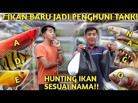 7 IKAN BARU! HUNTING IKAN APAPUN SESUAI NAMA ADE NAGO - YouTube