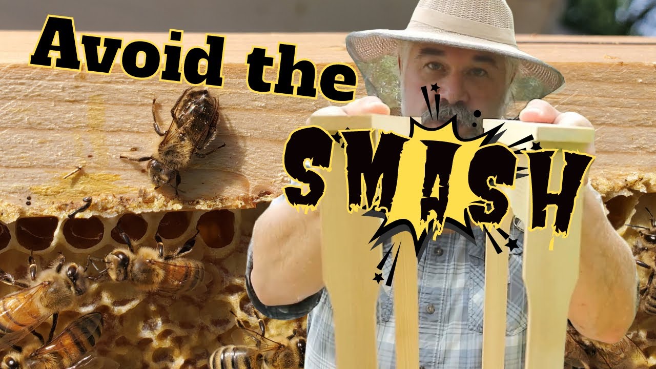 How to Avoid Smashing Bees with Layens Beehive Frames - YouTube
