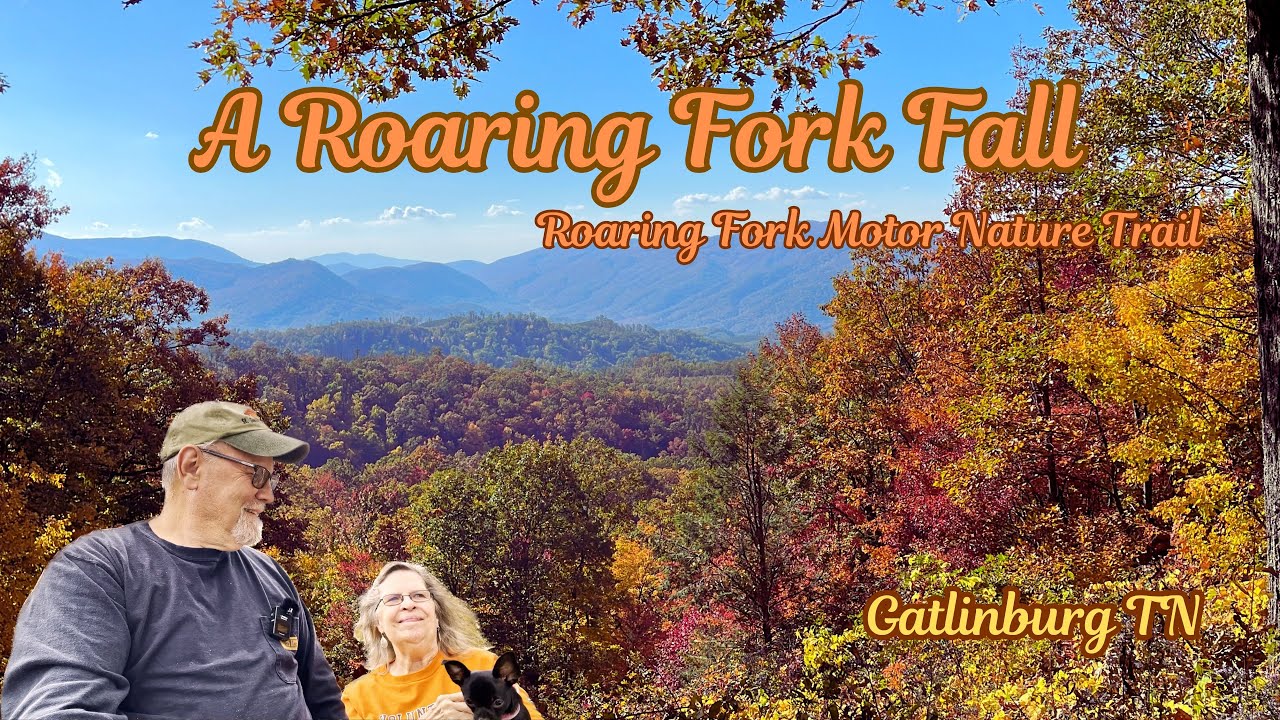 A Roaring Fork Fall 2024 | Roaring Fork Motor Nature Trail | Gatlinburg ...