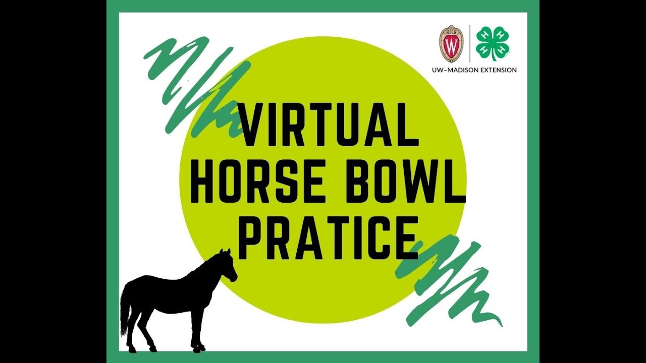 Virtual Horse Bowl Practice Questions Beginner Set 1 YouTube virtual-horse-bowl-practice-questions-beginner-set-1-youtube