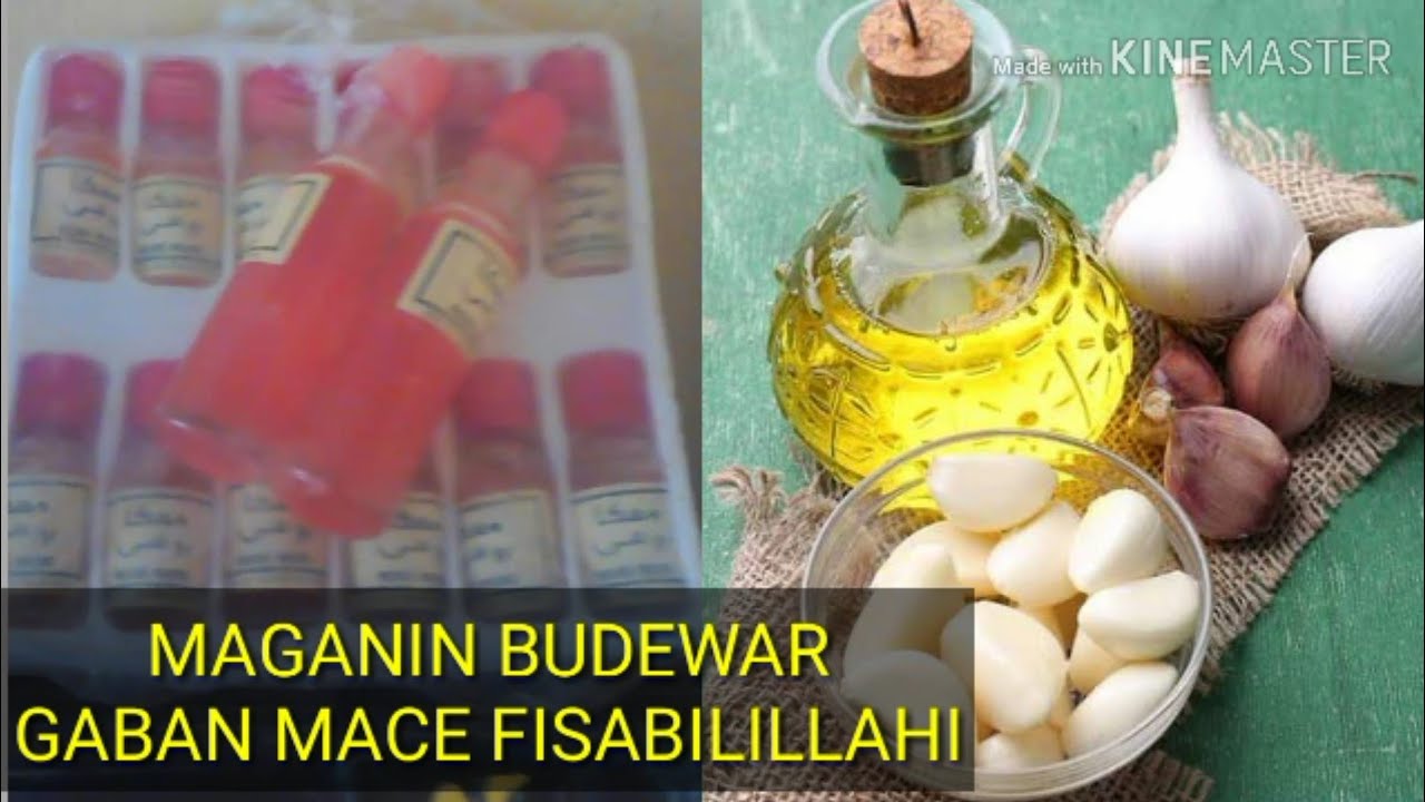 MAGANIN BUDEWAR GABAN MACE fisabilillahi - YouTube