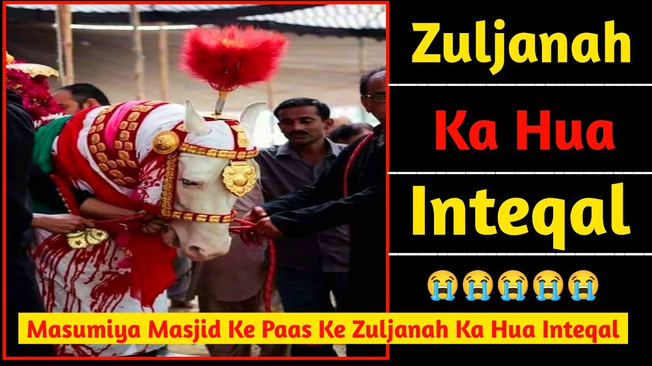 😭 Zuljanah Ka Hua Inteqal || Masumiya Masjid Ke Paas Ke Zuljanah Ka Hua ...