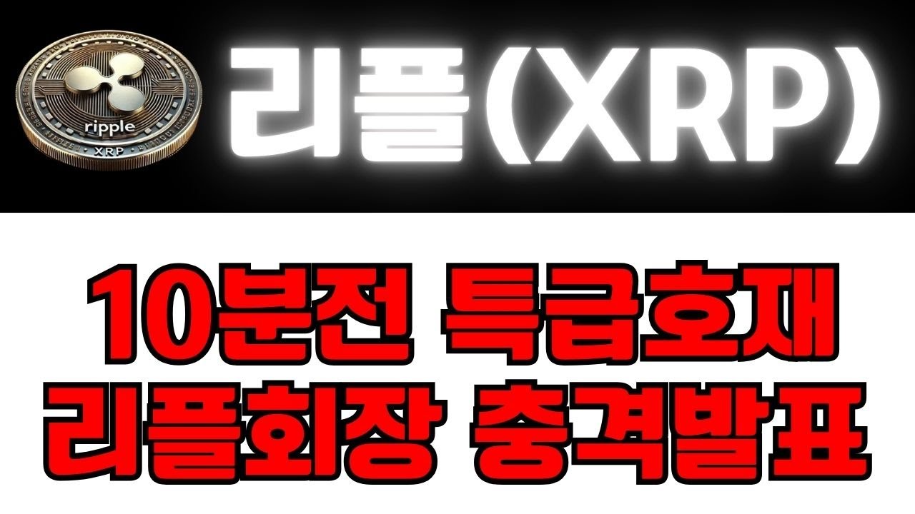 리플 리플회장 드디어 발표했습니다충격적인 프로젝트리플 리플코인 리플전망 Youtube