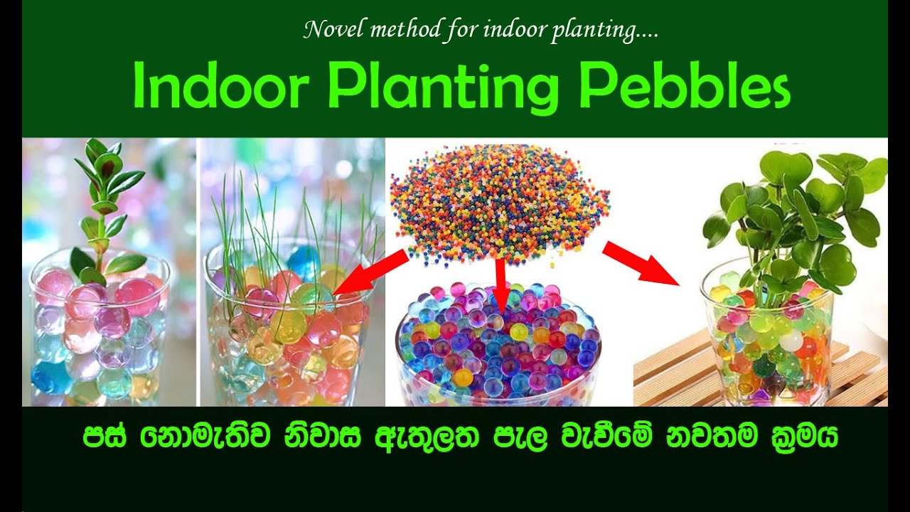 INDOOR PLANTING PEBBLES - YouTube