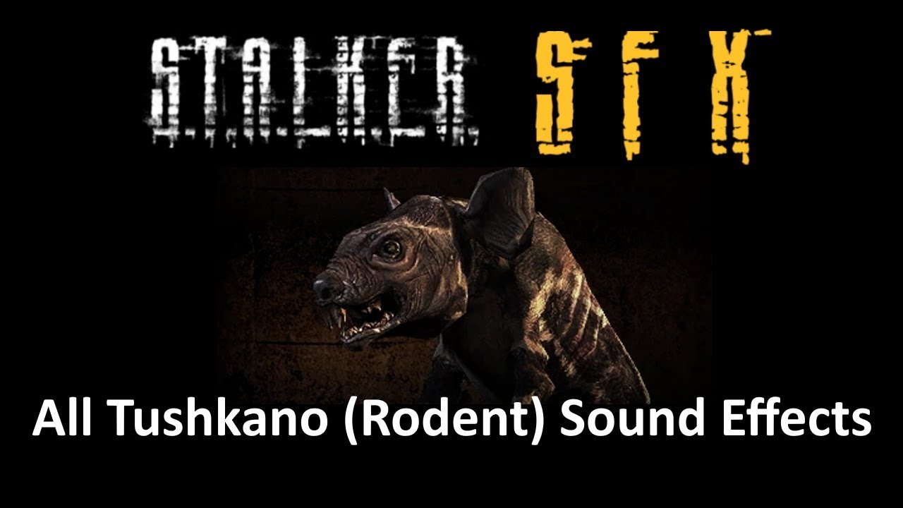 (S.T.A.L.K.E.R. SFX) - All Tushkano (Rodent) Sound Effects - YouTube
