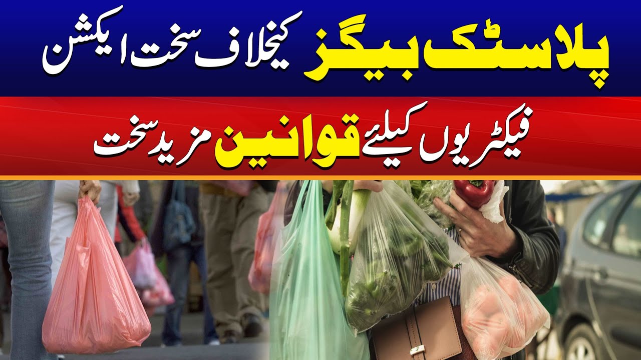 Strict Action Against Plastic Bags | Breaking News | City 41 - YouTube