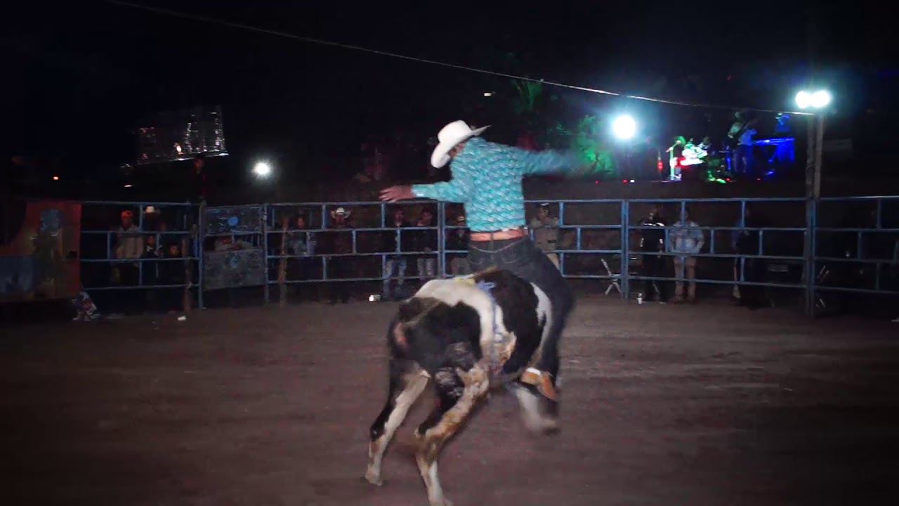 Zotolin 2017 PARTE 2 - YouTube