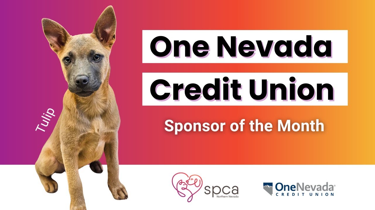 One Nevada Credit Union | April 2025 Hero of the Month - YouTube