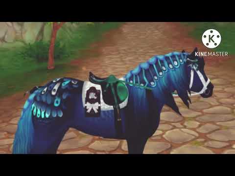 ￼ pictures of my horses (includes two new horses!)