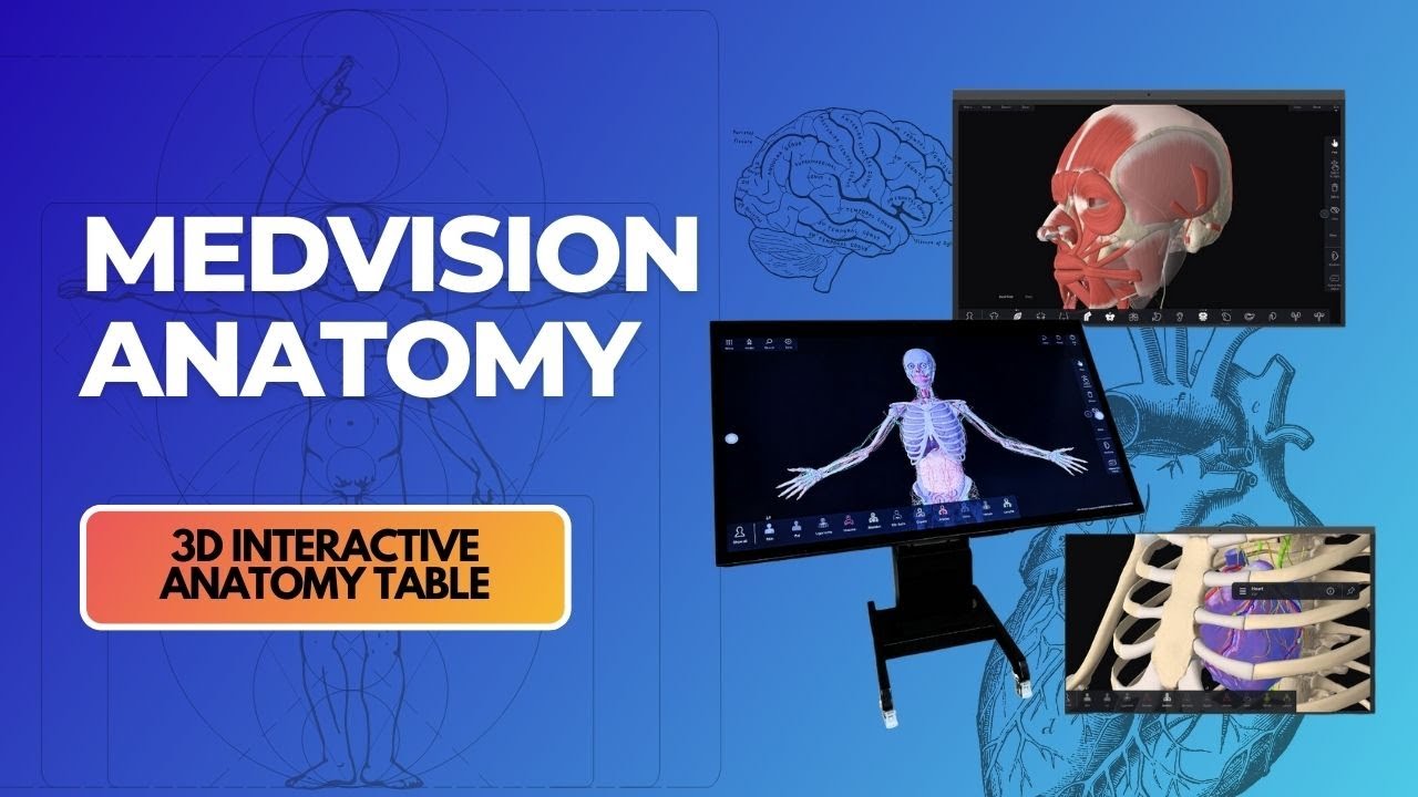 MedVision Anatomy. 3D Interactive Anatomy Table - YouTube