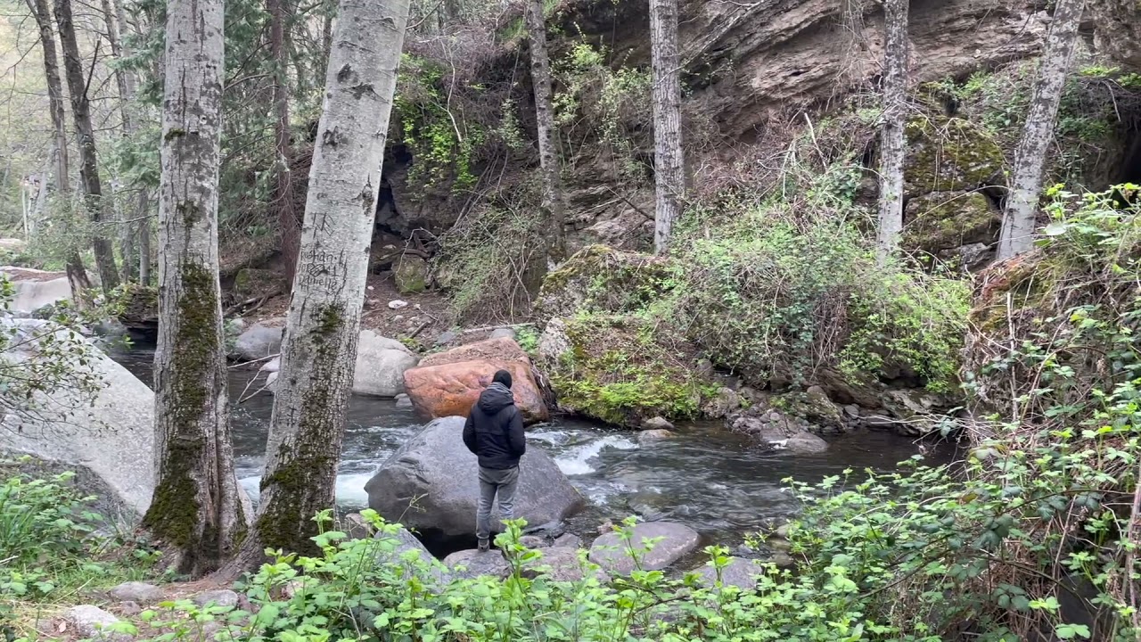 Wishon Campground Sequoia Self Guided Nature Trail - YouTube