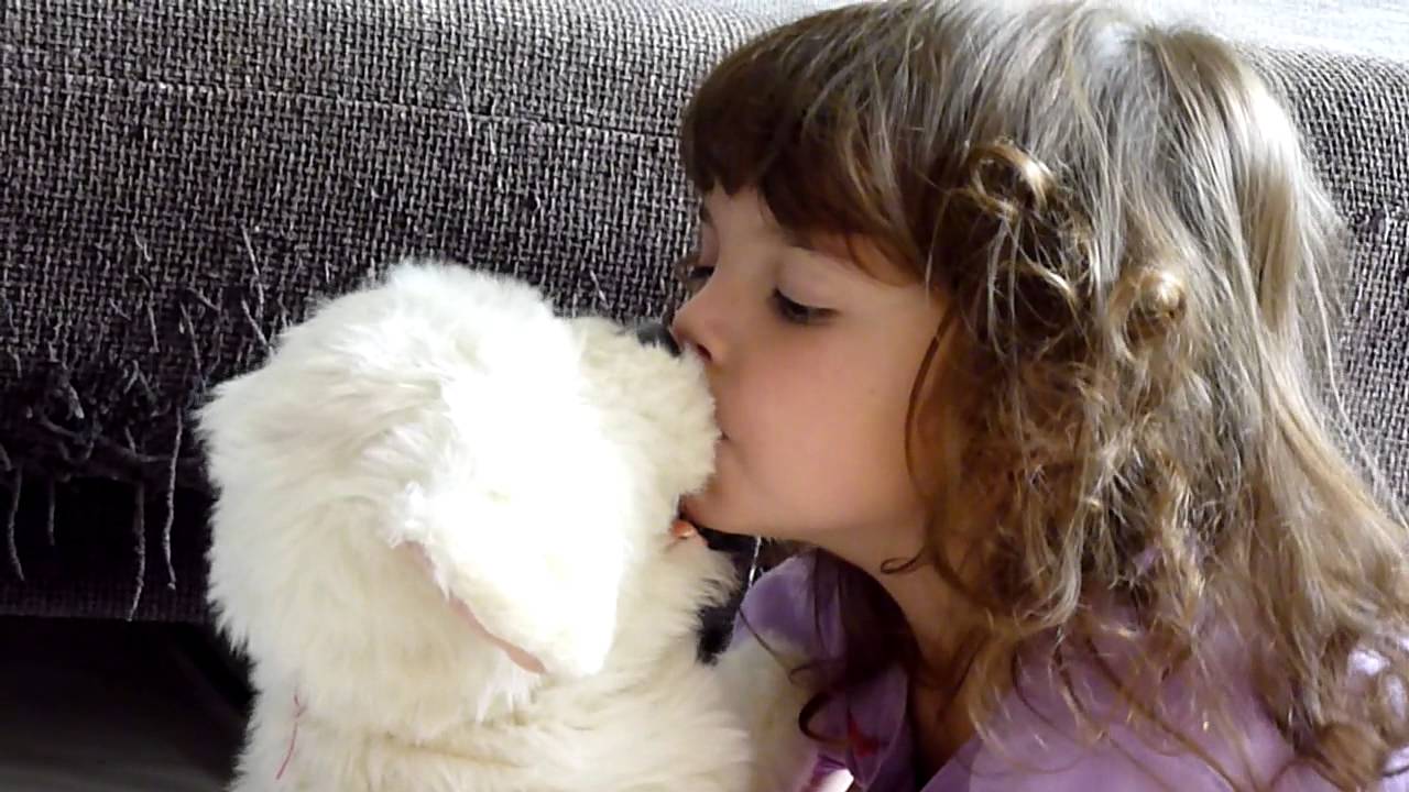 fake dog - YouTube