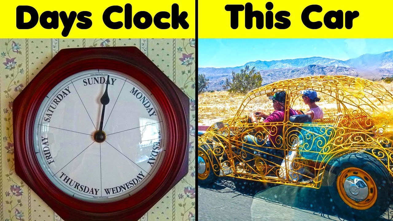 Weird Things That Actually Exist YouTube weird-things-that-actually-exist-youtube